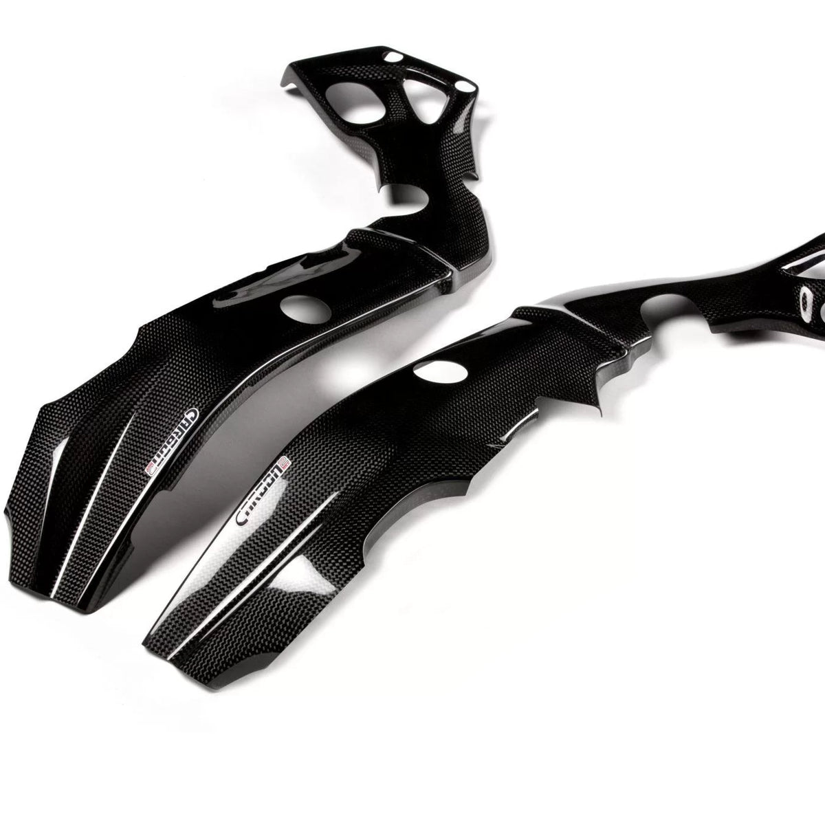 BMW S 1000R 2017-2020 Carbon Fiber Frame Covers – msliders